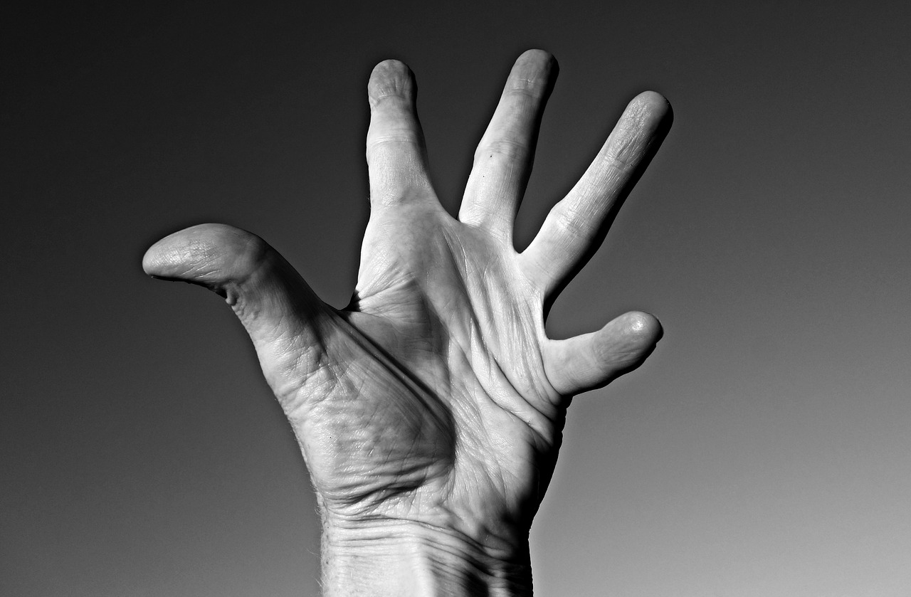 The Curiously Stunted, Incomprehensibly Disjointed, Perfectly ...